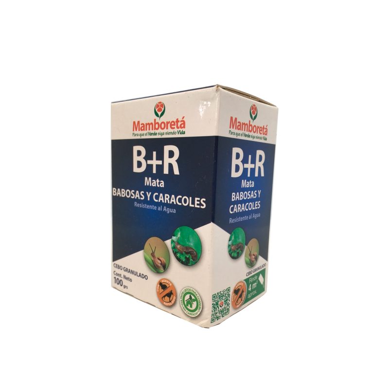 MAMBORETA – EXODUS